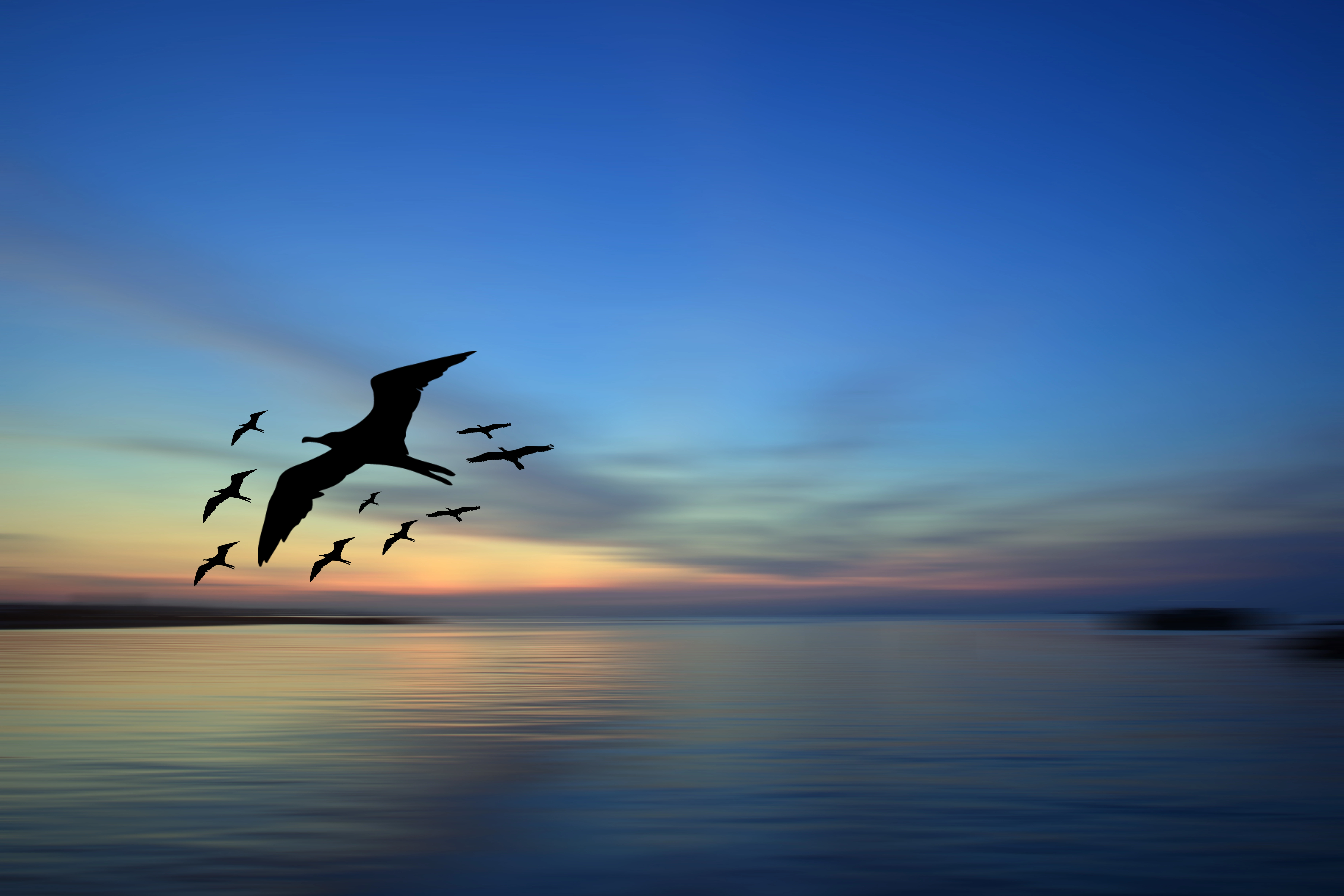 Insights into Material Risks 2024 | ORX Scenarios